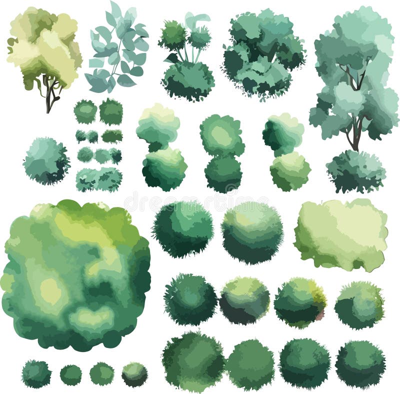 Incredible Trees Bushes Shrubs Top View Vector Stock Vector ...