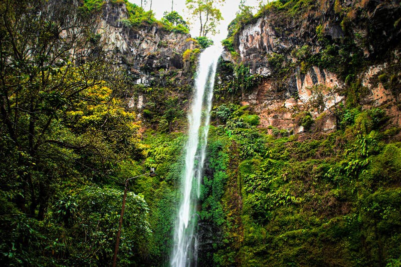Incredible Waterfall from East Java Stock Photo - Image of woodland ...