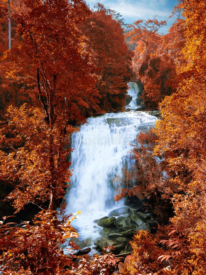 Waterfall in spring stock image. Image of nature, fern - 2312821