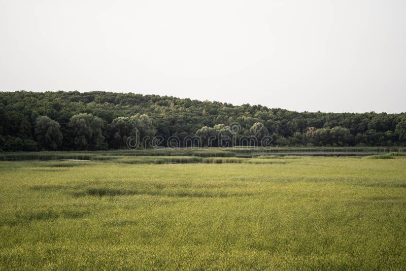 Incredibly Beautiful Bright Panorama of Nature in the Wild Stock Photo ...