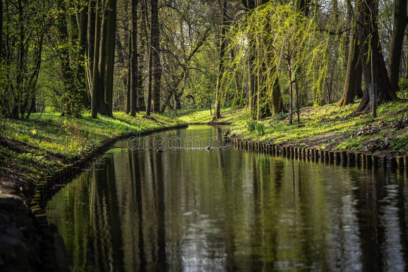 Incredibly Beautiful Scenic Landscape of the River among the Park ...