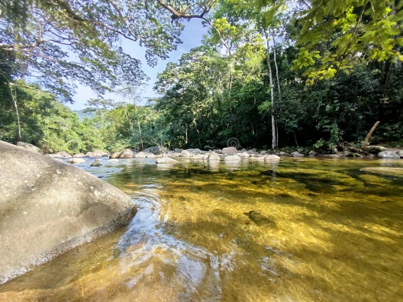 Incredibly Clear Waters of a River with Sunlight Inside a Tropical ...