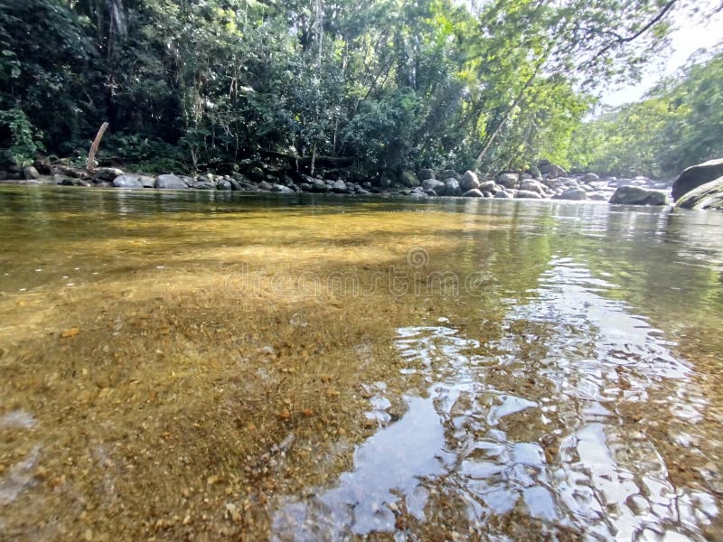 The Incredibly Clear Waters of a Tropical Forest River Stock Image ...