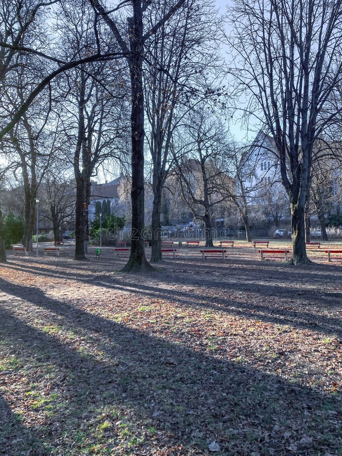 Incredibly Warm Winter in January in a Sunny Park in Hungary Stock ...