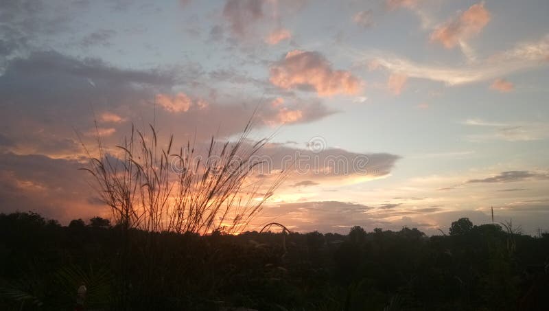 Indahnya Langit Senja & X28;gold Sky& X29; Stock Image - Image of gold ...