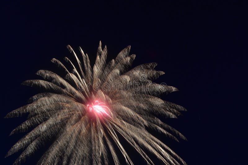 Independence Day Light Show - Falling Palm Tree Fireworks 4th of July ...