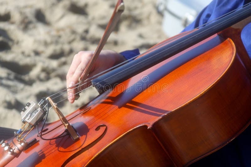 Independent Chello for a Wedding Stock Image - Image of chello ...