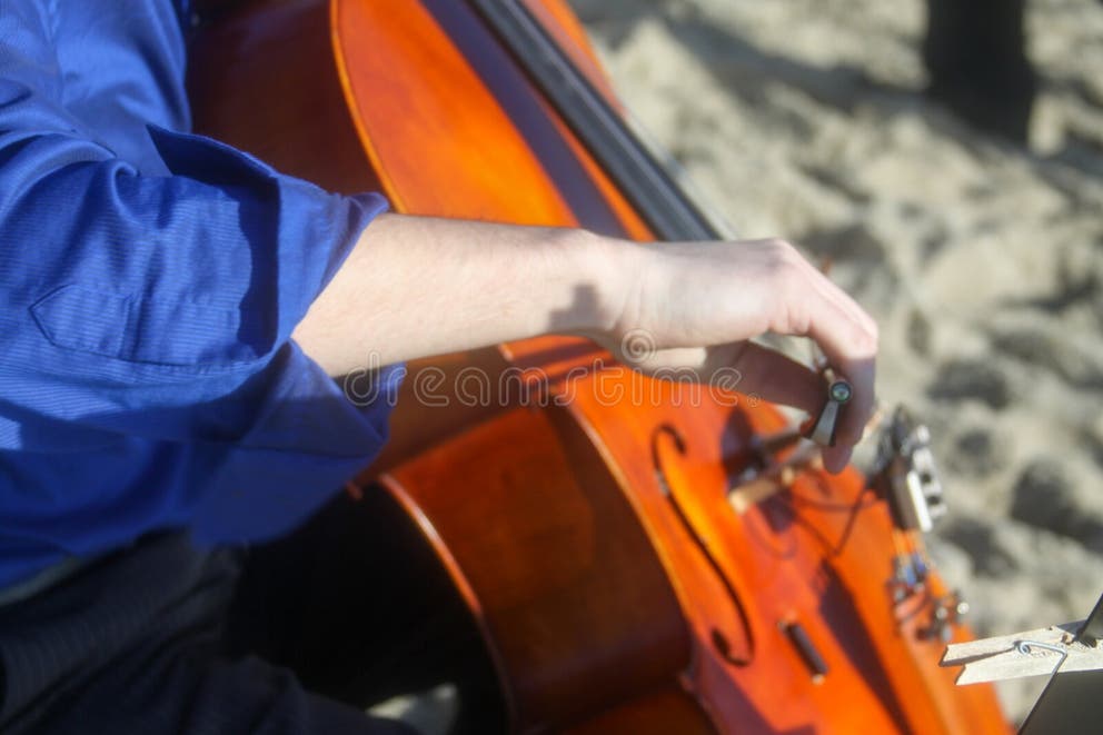 Independent Chello for a Wedding Stock Photo - Image of intro, chello ...