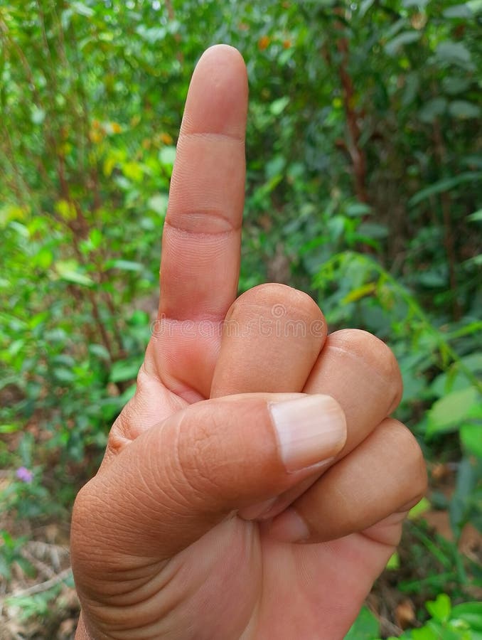 The Index Finger of the Left Hand Seen from the Front. Stock Image ...