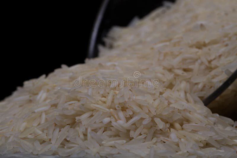 India basmati rice stock photo. Image of front, food - 124426116