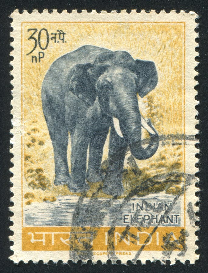Elephant editorial photography. Image of envelope, elephant - 240595297