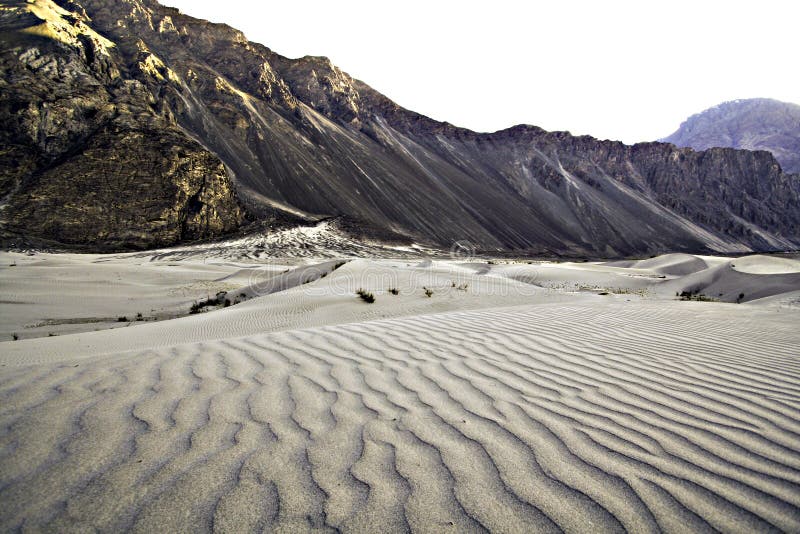 India Cold Desert Sand Dunes Stock Image - Image of nubra, sand: 84872829