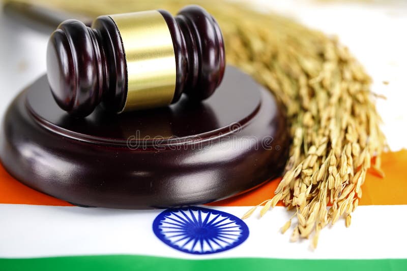 India Flag and Judge Hammer with Gold Grain from Agriculture Farm. Law ... India Flag and Judge Hammer with Gold Grain from Agriculture Farm. Law ...