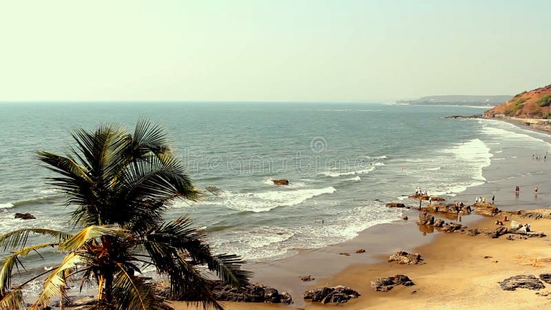 India Goa Beach Seaside Panorama View. Stock Footage - Video of palm ...