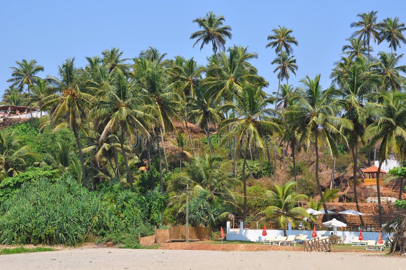 India Goa editorial stock image. Image of coastal, climate - 61182294