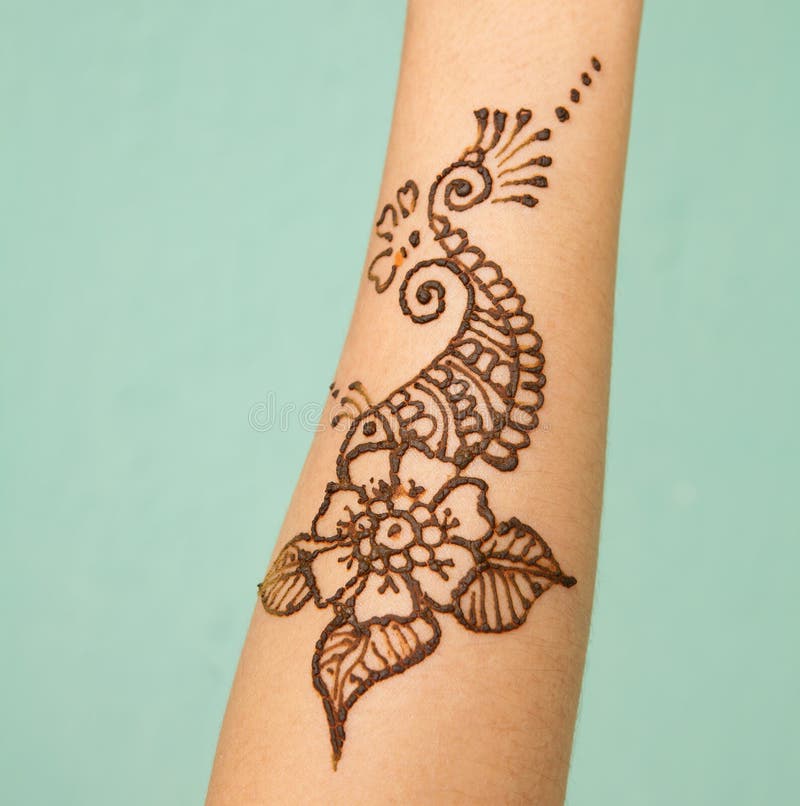 India henna on hand stock photo. Image of embellish, flower - 31653836