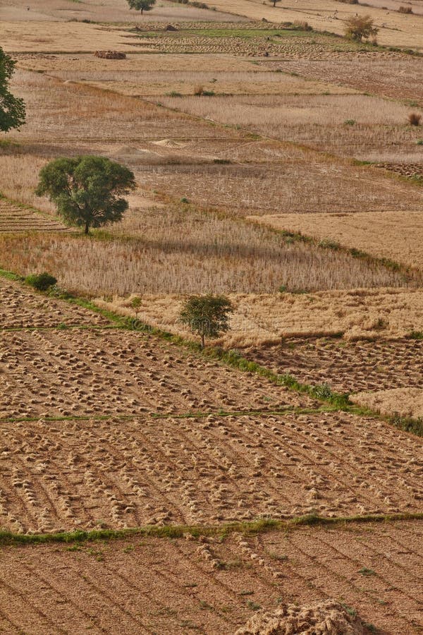 India landscape stock image. Image of brown, farm, park - 80176407