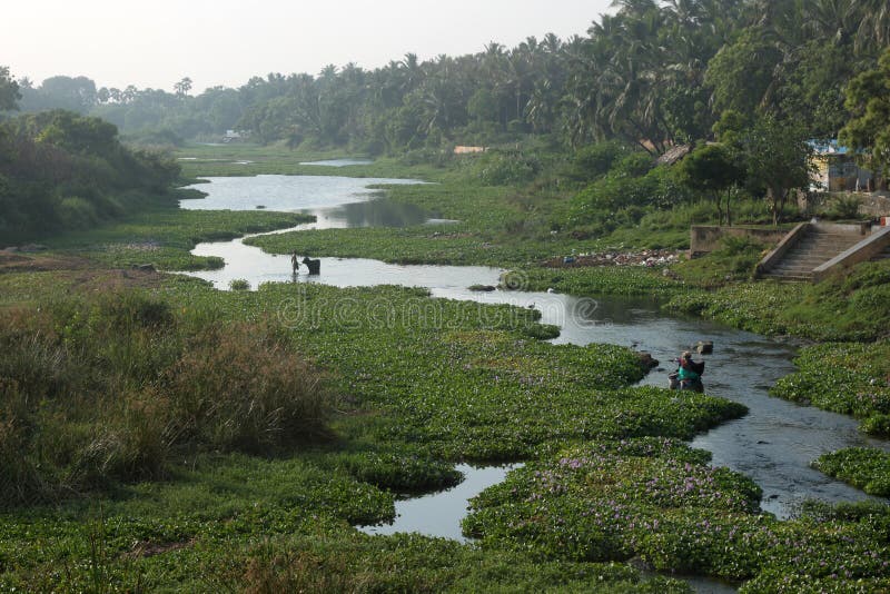 India stock image. Image of water, stone, landscape, tree - 34279883