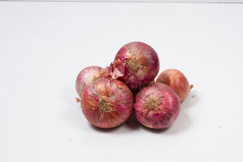 India onion isolated stock image. Image of abstract - 124395075