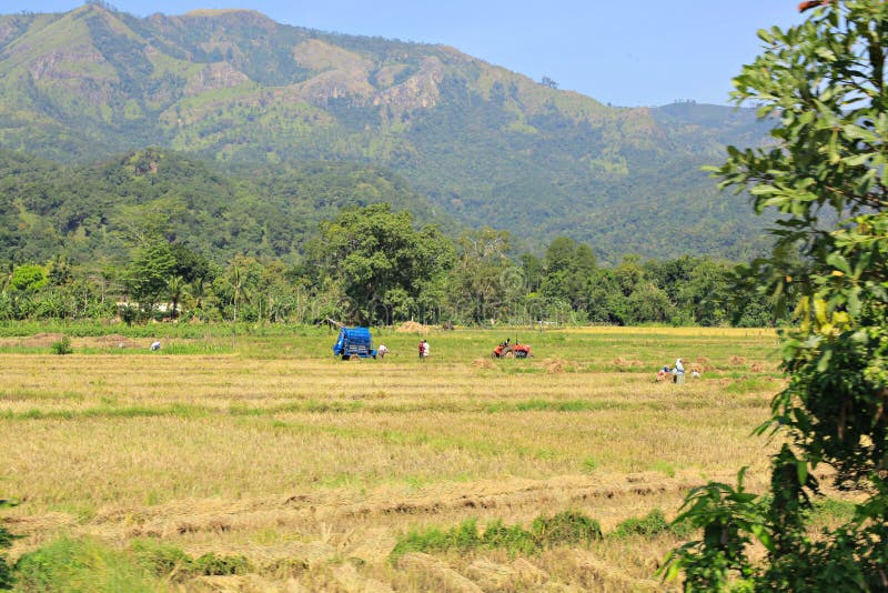 India Rural Houses and Lendscapes Stock Photo - Image of asian, house ...