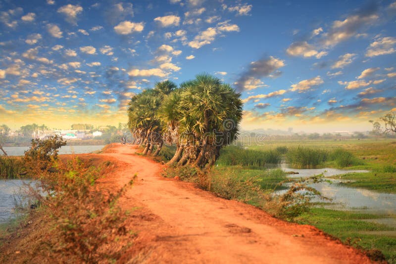 India rural landscape stock image. Image of lush, foliage - 65360611