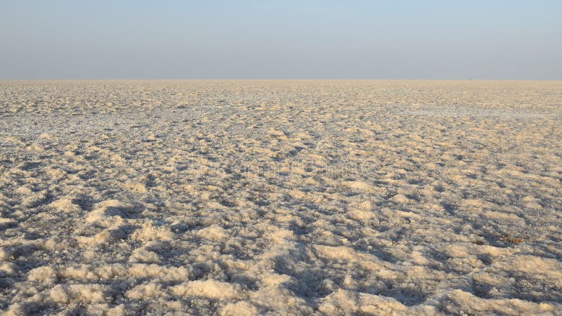 India, salt desert stock photo. Image of ecosystem, adventure - 60397768