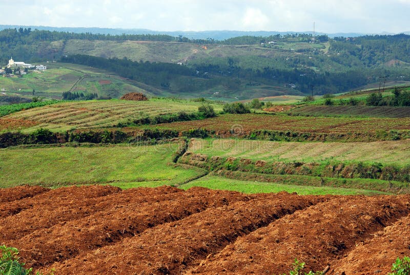 Indian Agricultural land stock image. Image of field - 16892989