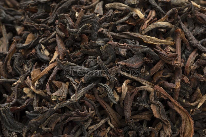 Indian Ambootia Stock Photos - Free & Royalty-Free Stock Photos from ...