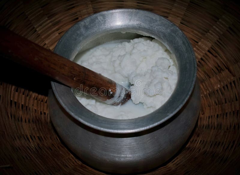 Indian Ancient Style of Making Butter with Wooden Stick. Stock Image ...