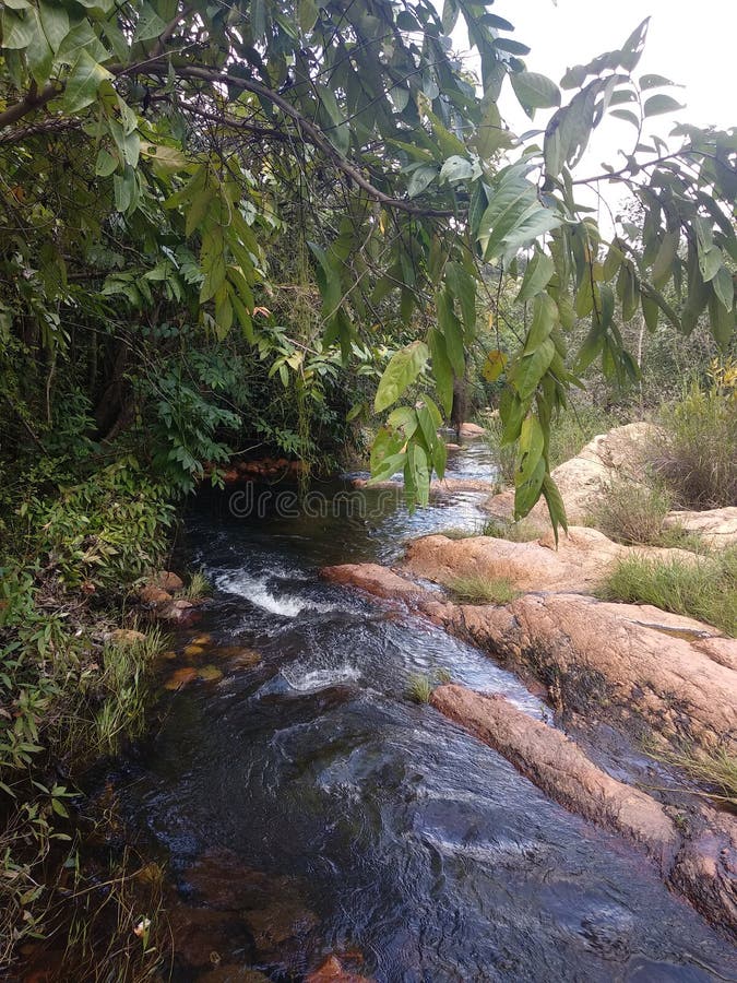 Indian art with flow stock photo. Image of indian, flow - 134203164