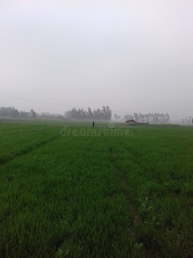 Indian Atmosphere in the Evening Looking Verynice Editorial Photo ...