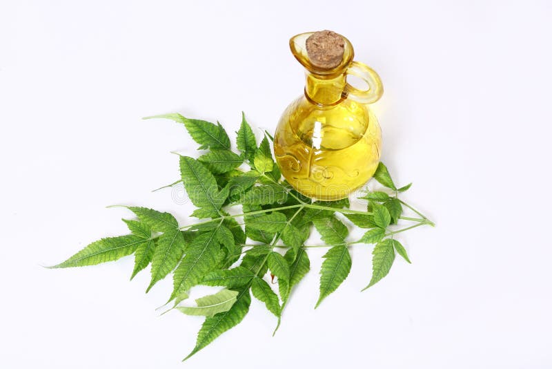 Indian Ayurvedic Neem Oil, Indian Ayurvedic Stock Photo - Image of ...