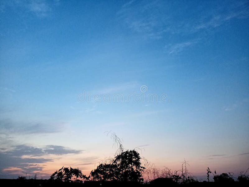 Indian Beautiful Sunset with Blue Sky Stock Image - Image of tree ...