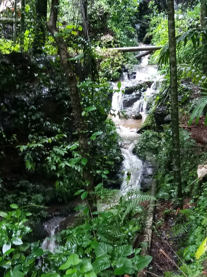 Indian Beautiful Waterfall in Village Stock Photo - Image of amazing ...