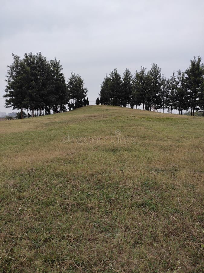 A Indian Best Park with Tree Stock Photo - Image of large, place: 166648920