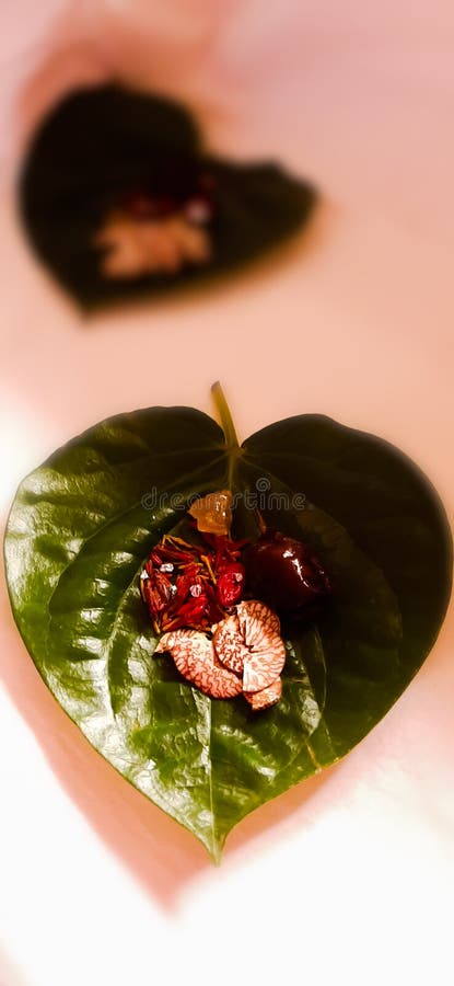 Indian betel leaf stock photo. Image of meal, dish, fruit - 186329440