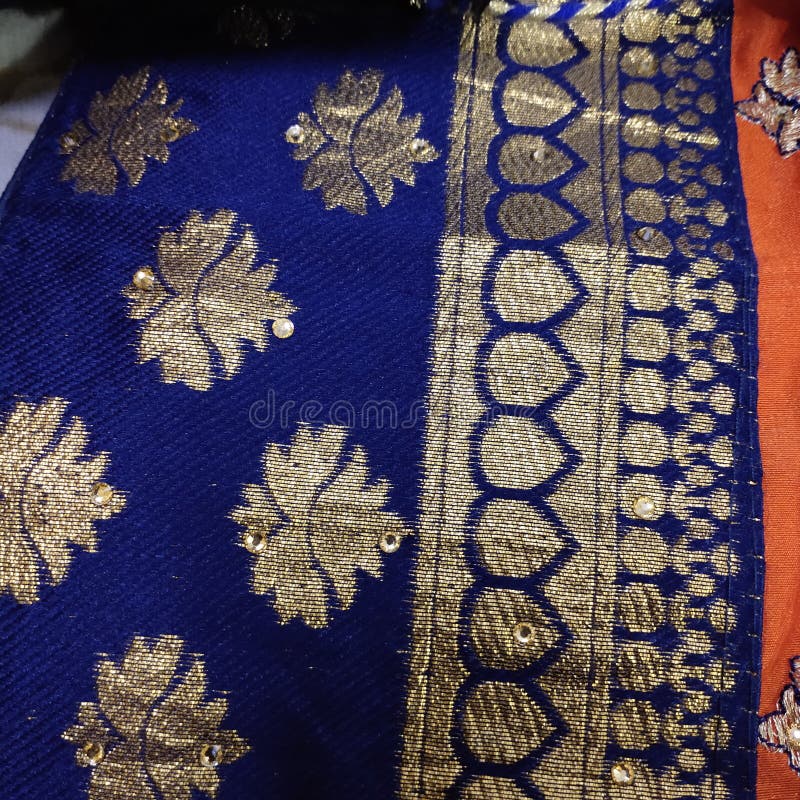 Indian Border Saree on Blue and Golden Colors. Stock Photo - Image of ...