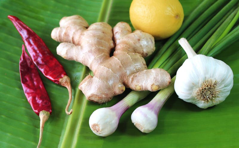 Indian Cooking Murtabak Ethnic Food Stock Image - Image of east, dishes ...