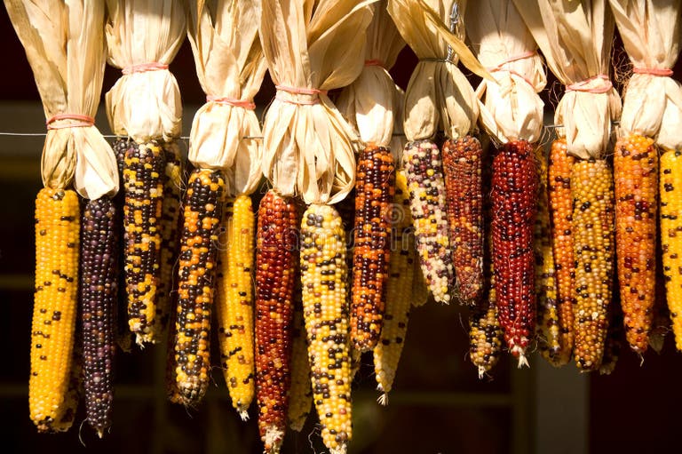 588 Picked Indian Stock Photos - Free & Royalty-Free Stock Photos from ...