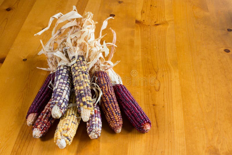 Indian Corn stock image. Image of indian, holiday, corn - 26744355