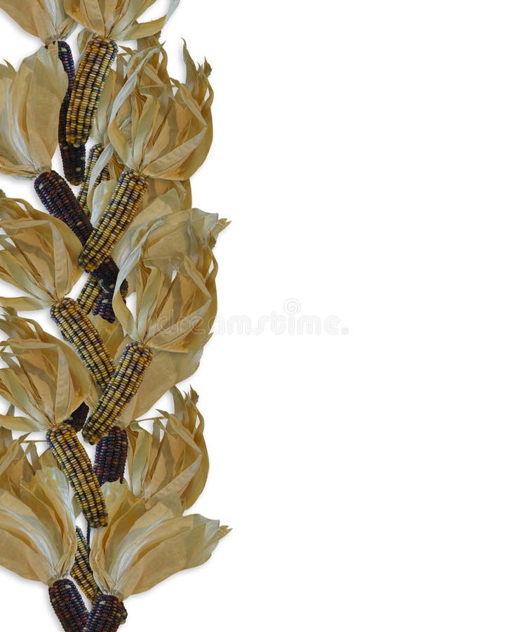 Indian corn Autumn design stock image. Image of maize - 16584549