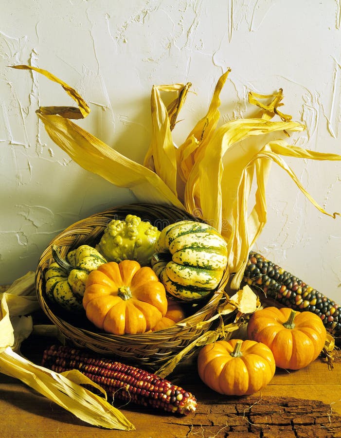 Indian Corn & Gourds stock image. Image of november - 671883