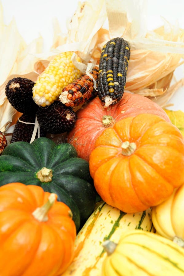 Indian Corn and Squash stock photo. Image of food, corn - 11535414