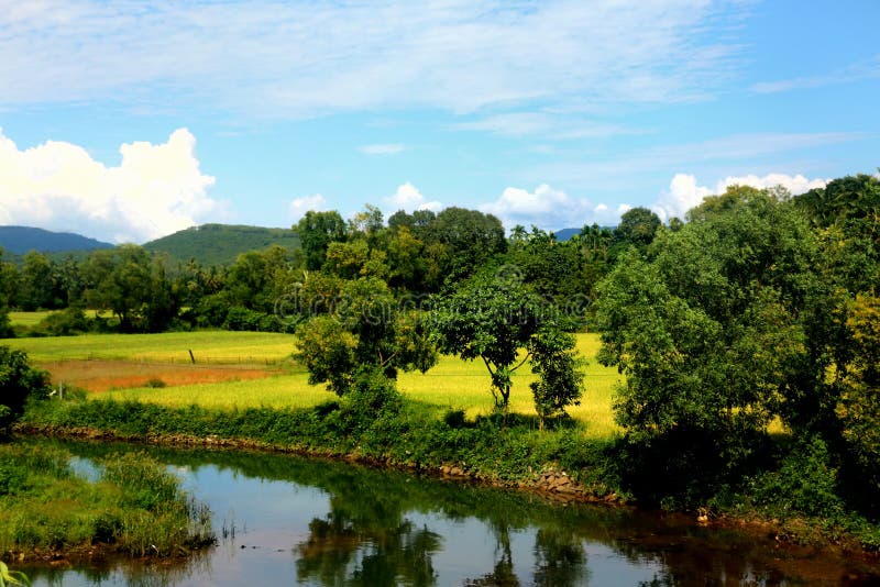 Indian Country Side Area with River and Trees on the Bank Stock Photo ...