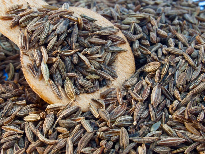Indian cumin seeds stock image. Image of plant, organic - 21109217