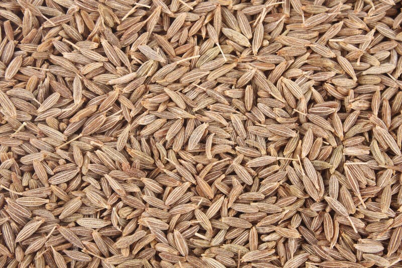 Indian Cumin seeds. stock image. Image of asian, culinary - 46748215