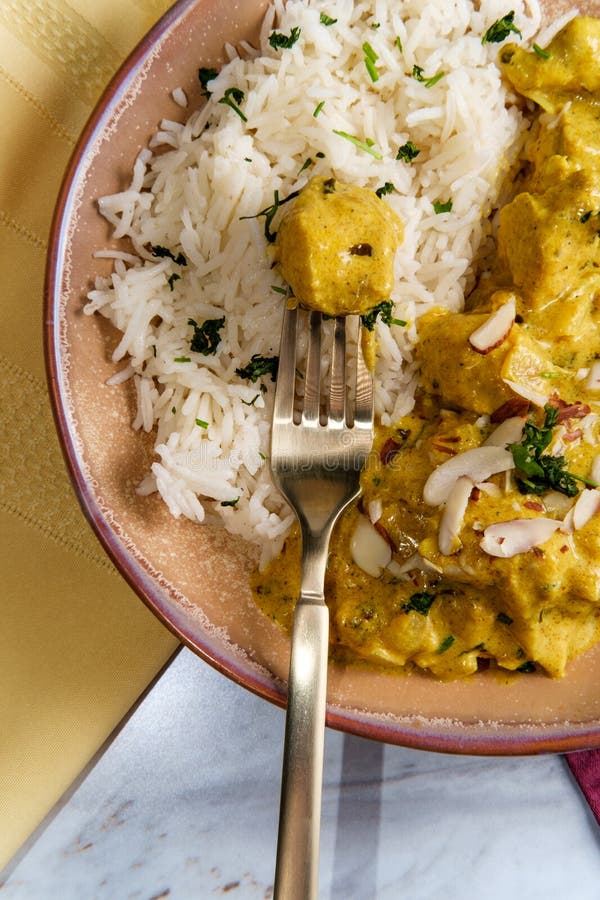 Indian Curry Chicken Korma stock image. Image of jasmine - 214330771