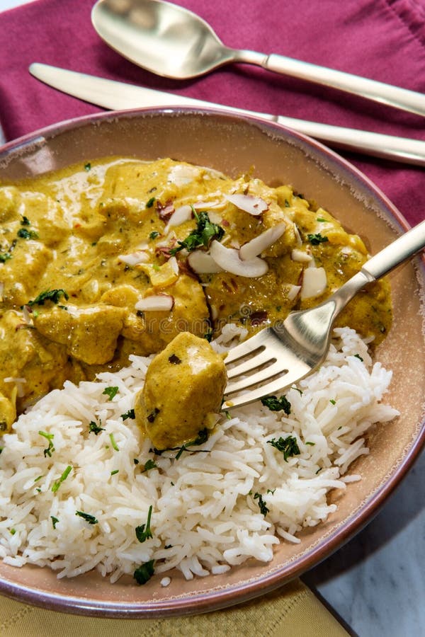Indian Curry Chicken Korma stock image. Image of rice - 214330801