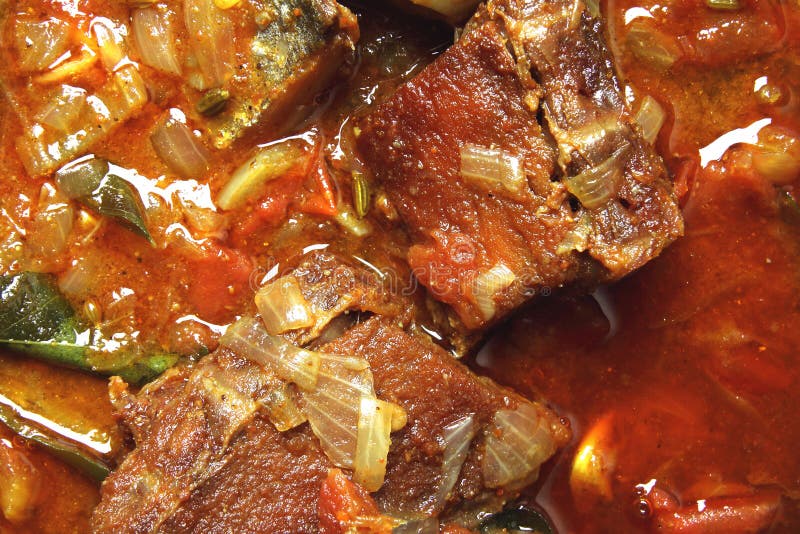 Indian Dried Fish Curry stock photo. Image of coconut - 101327742