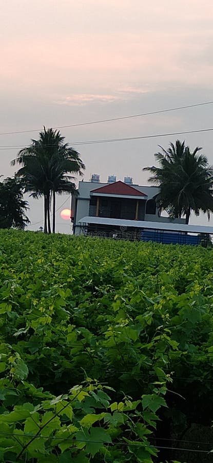 Indian Farm House Looking with Sunset Stock Image - Image of house ...